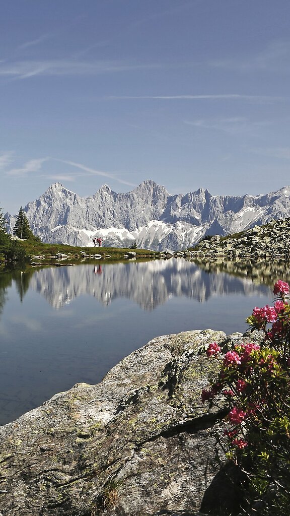 Privacy Policy – Nature and Wellness Hotel Höflehner