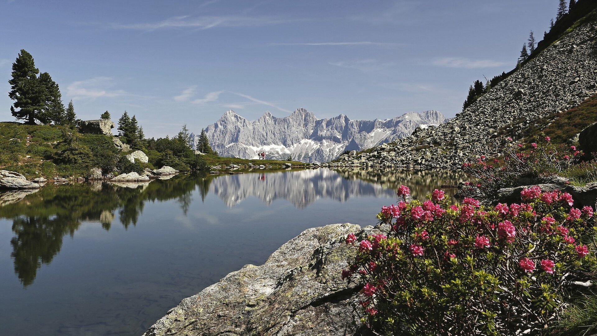 Privacy Policy – Nature and Wellness Hotel Höflehner